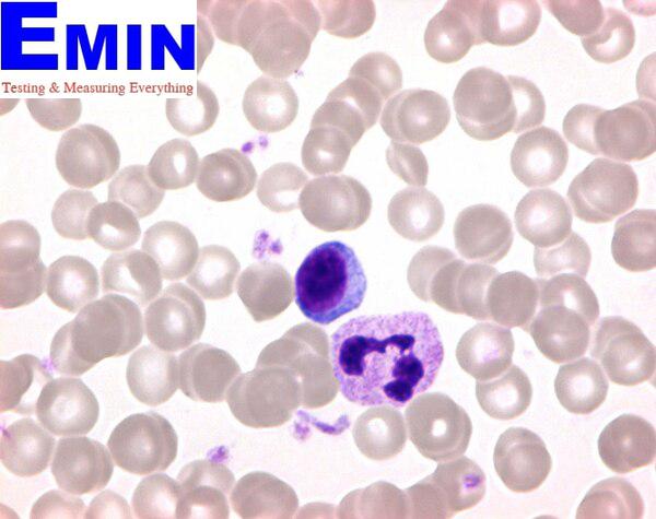 Merck 1092031000 Giemsa's azur-eosin-methylene blue for microscopy ...