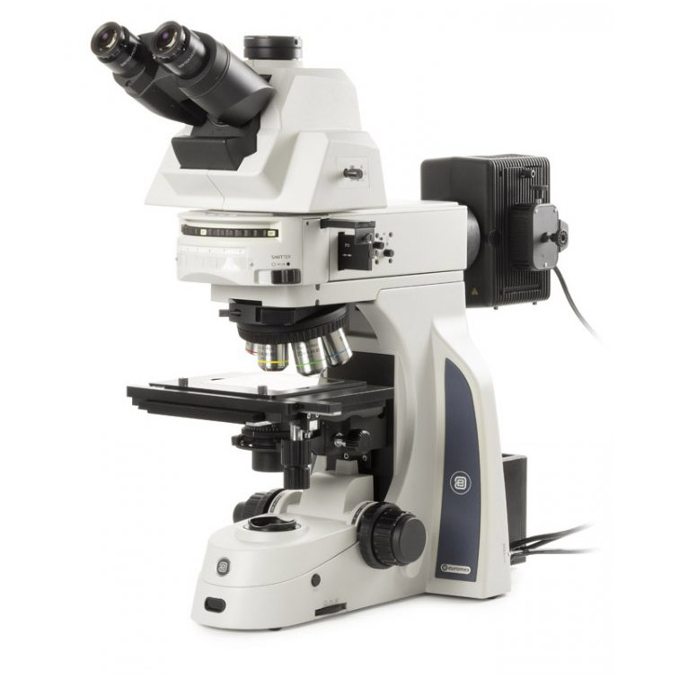 Euromex DX.2053-PLMi Delphi-X Observer trinocular microscope for Materials Sciences (SWF 10x/25 ...