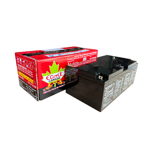 Santak ECT-UP1226VA3 Ecotek Batteries (12V, 26Ah) | EMIN.COM.MM
